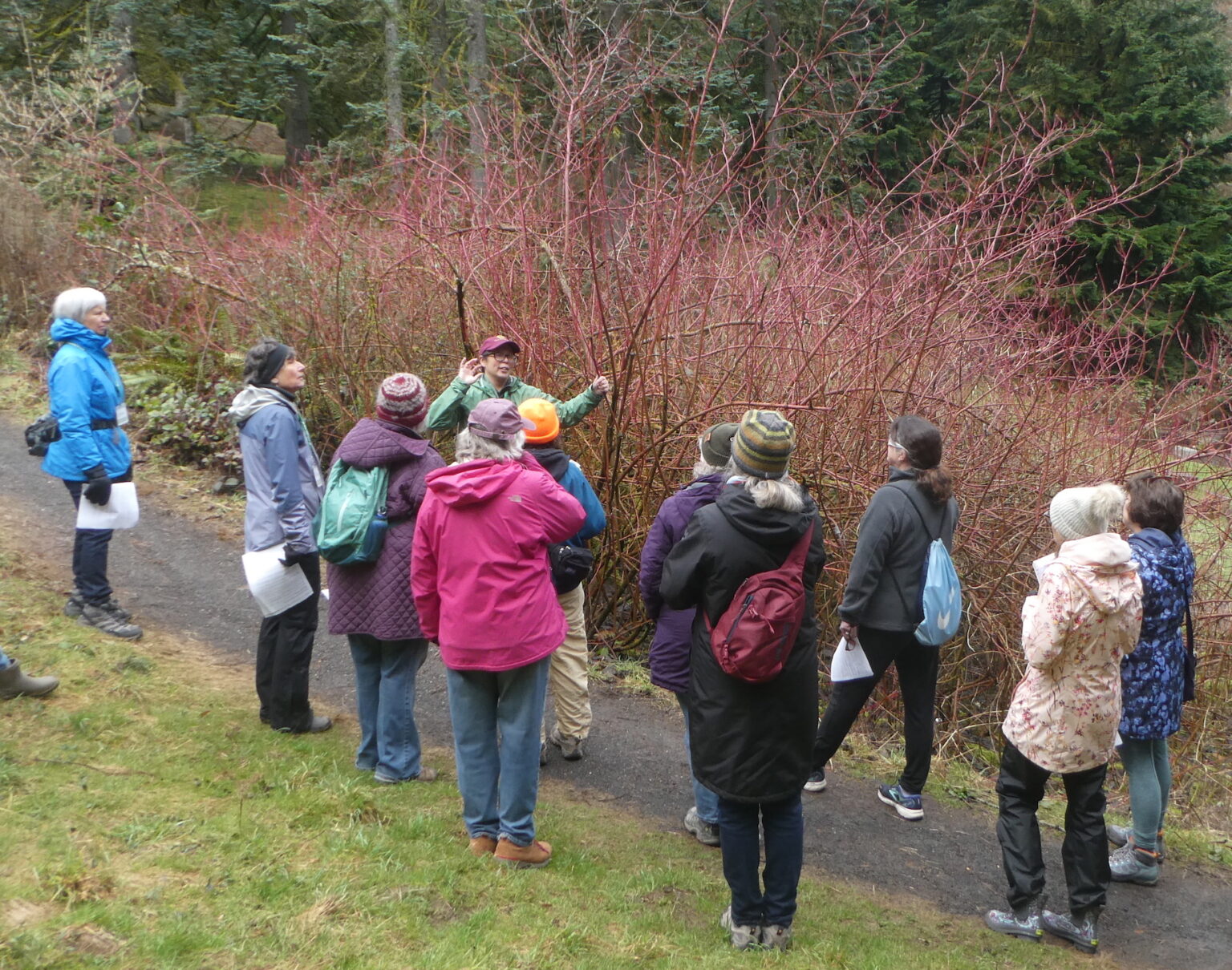 Volunteer Plant Walk & Talk - Hoyt Arboretum